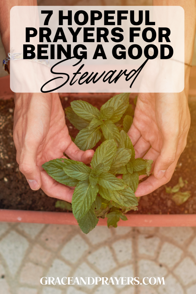 7 Hopeful Prayers For Being A Good Steward - Grace and Prayers