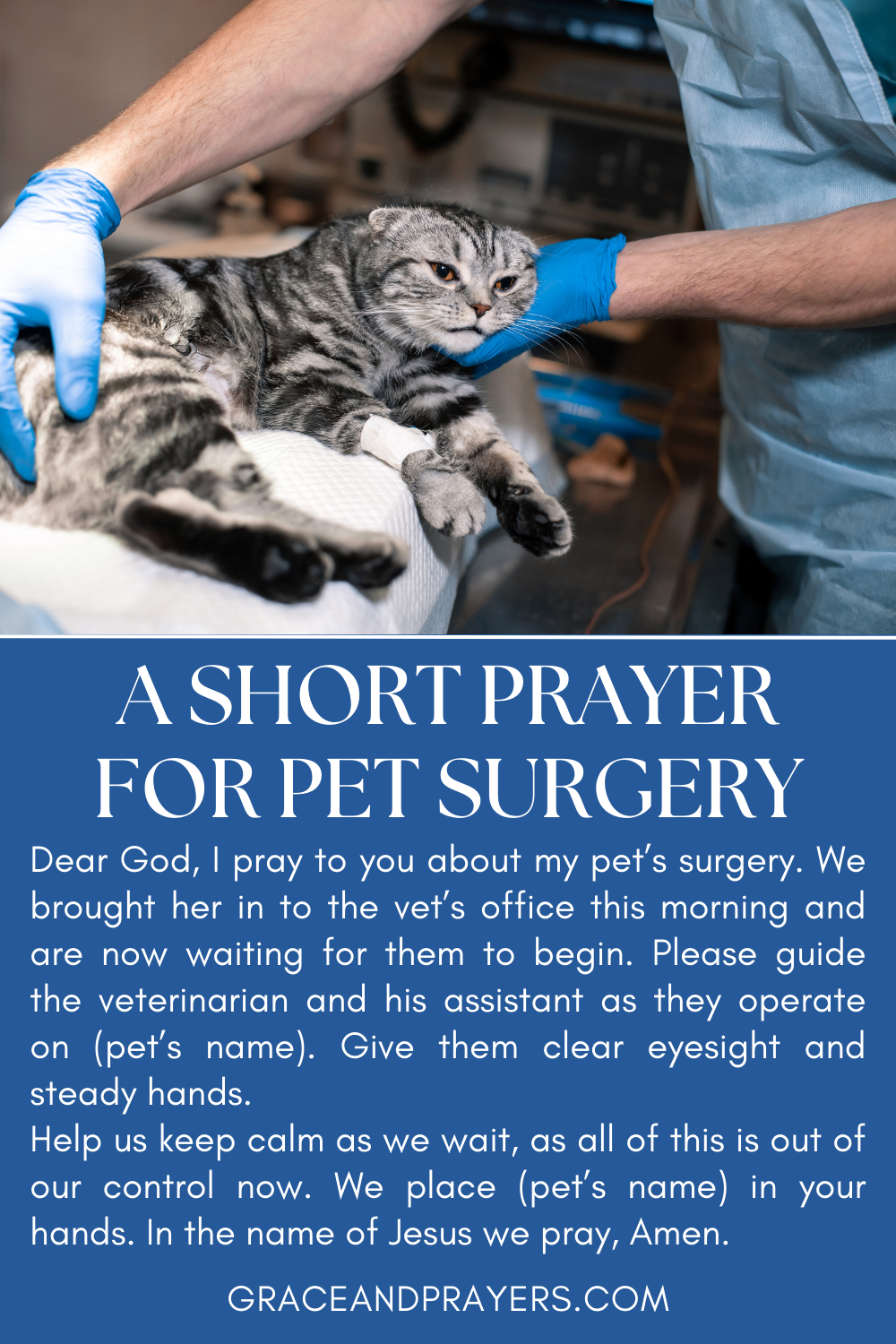 6 Powerful Prayers for a Pet's Surgery - Grace and Prayers