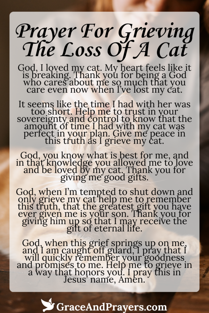 4 Caring Prayers For Loss Of A Cat - Grace and Prayers