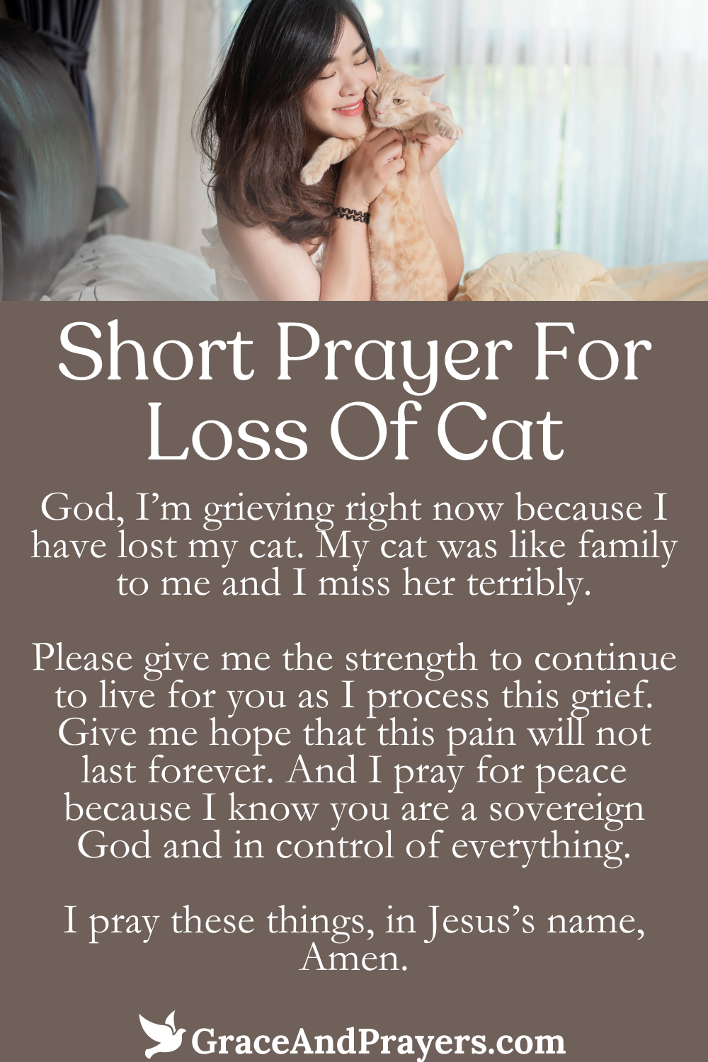 4 Caring Prayers For Loss Of A Cat - Grace and Prayers