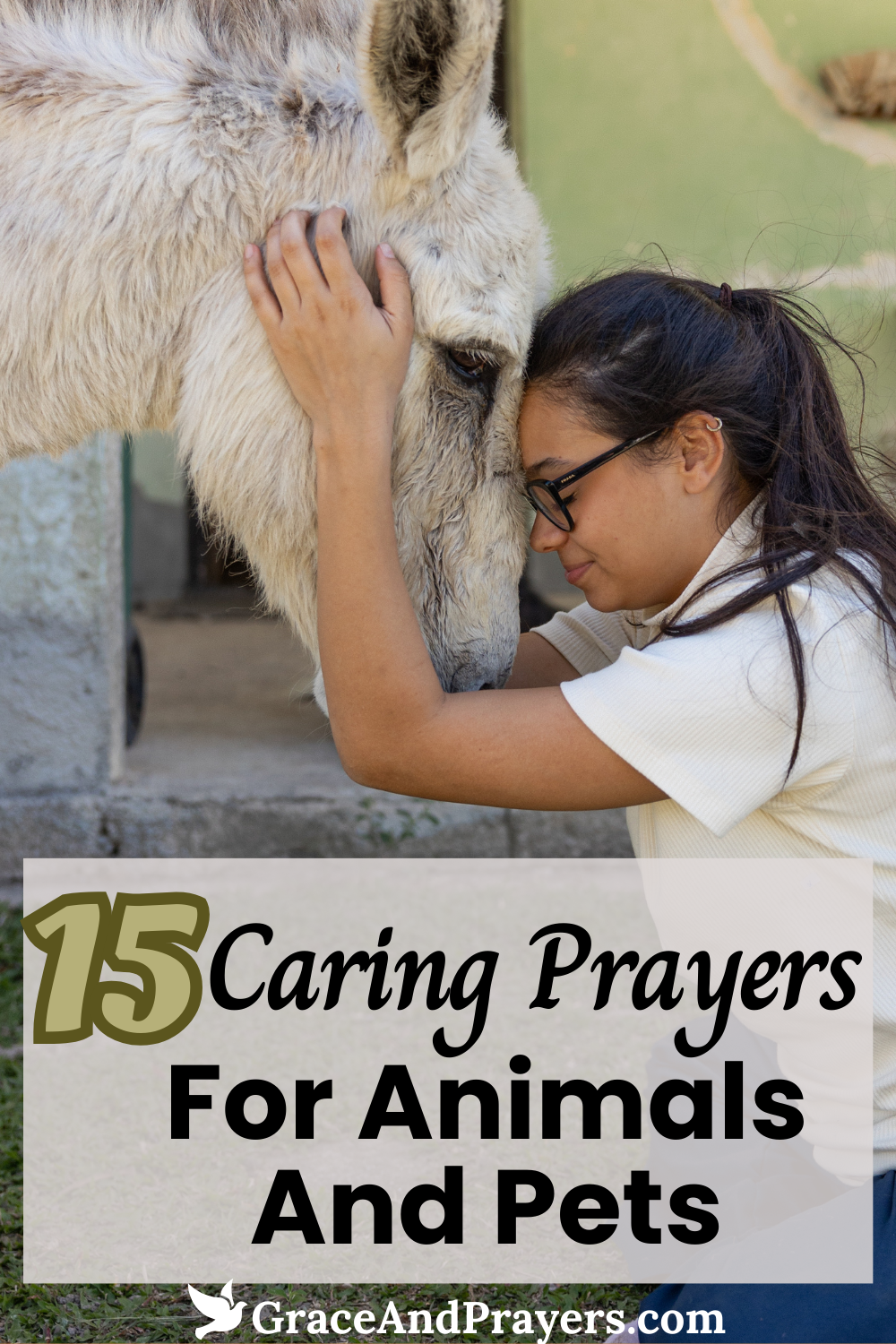 15 Caring Prayers For Animals And Pets - Grace and Prayers