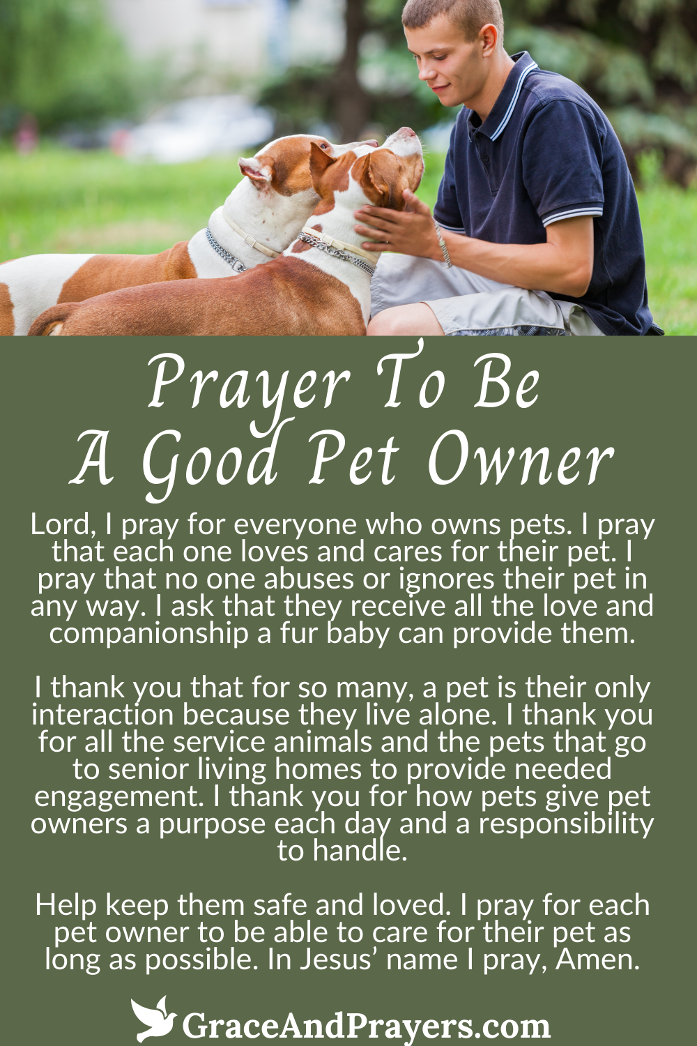 15 Caring Prayers For Animals And Pets - Grace and Prayers