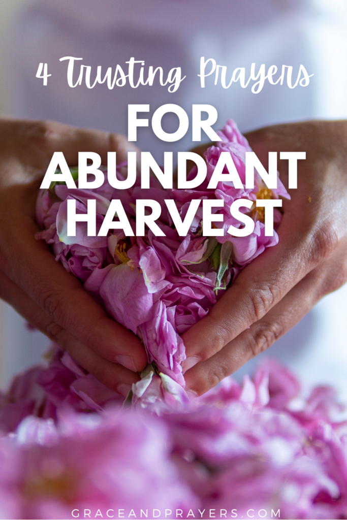 4 Trusting Prayers For Abundant Harvest - Grace and Prayers
