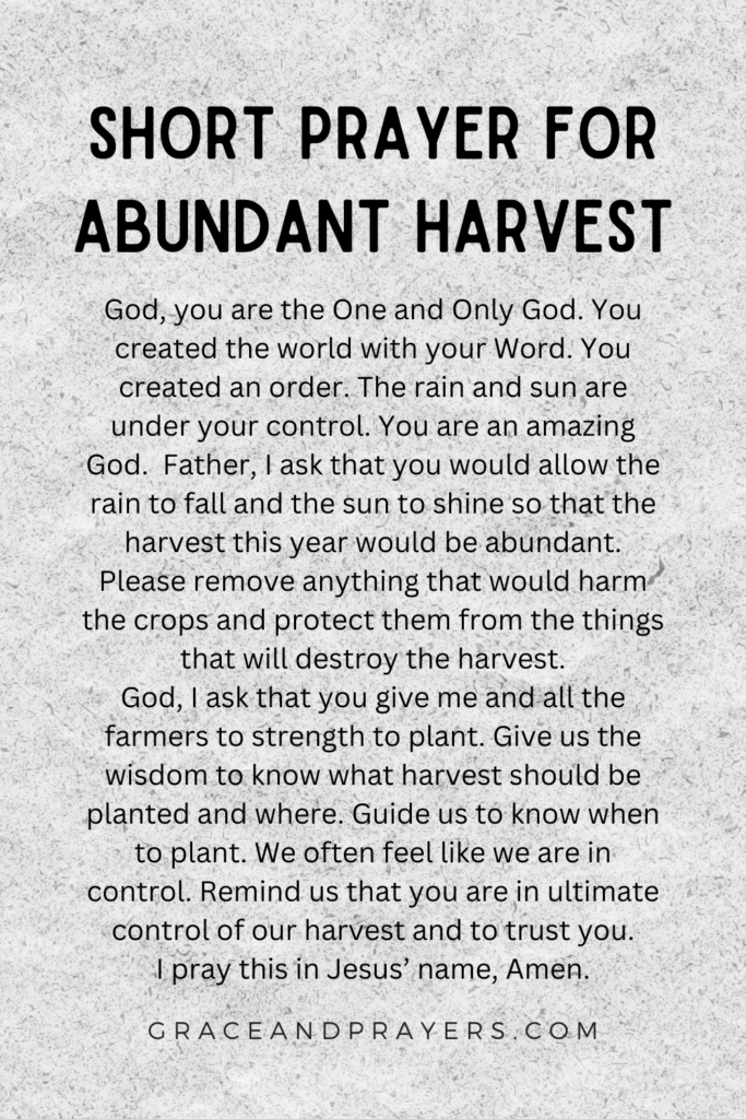 4 Trusting Prayers For Abundant Harvest - Grace and Prayers
