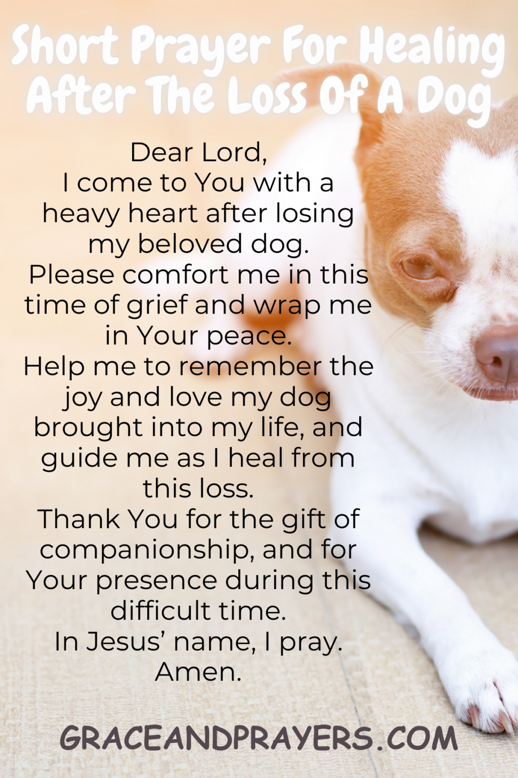 14 Healing Prayers For The Loss Of A Dog - Grace and Prayers